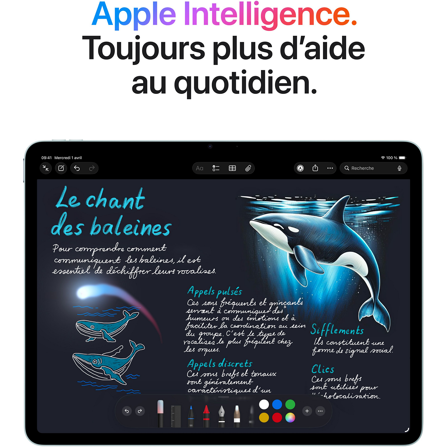 Apple IPAD Air 11 M4 256Go Bleu Cellular 2026 en promo