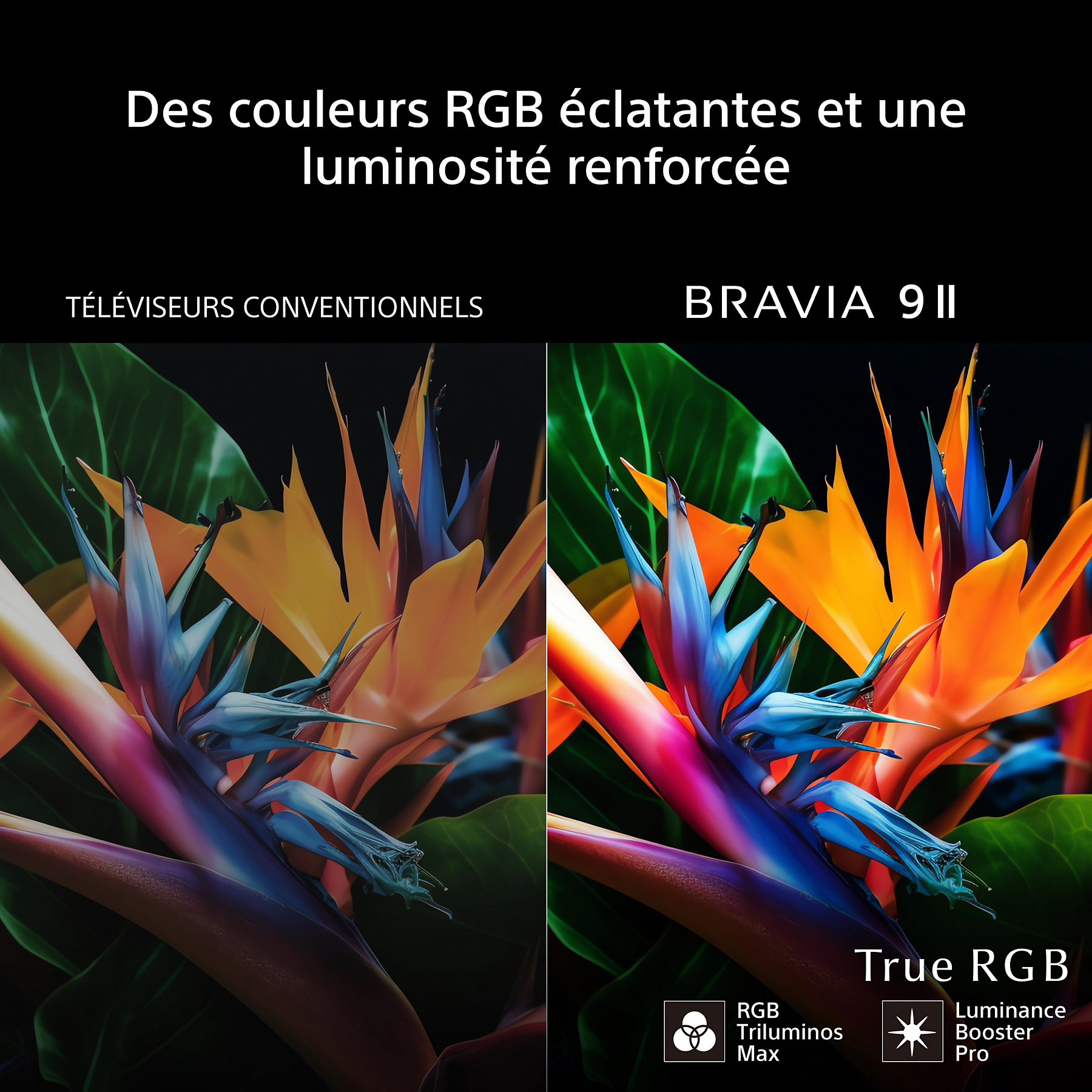 SONY 85BRAVIA9II - TV True RGB 85' 2026 | Bientot en promo pour les soldes
